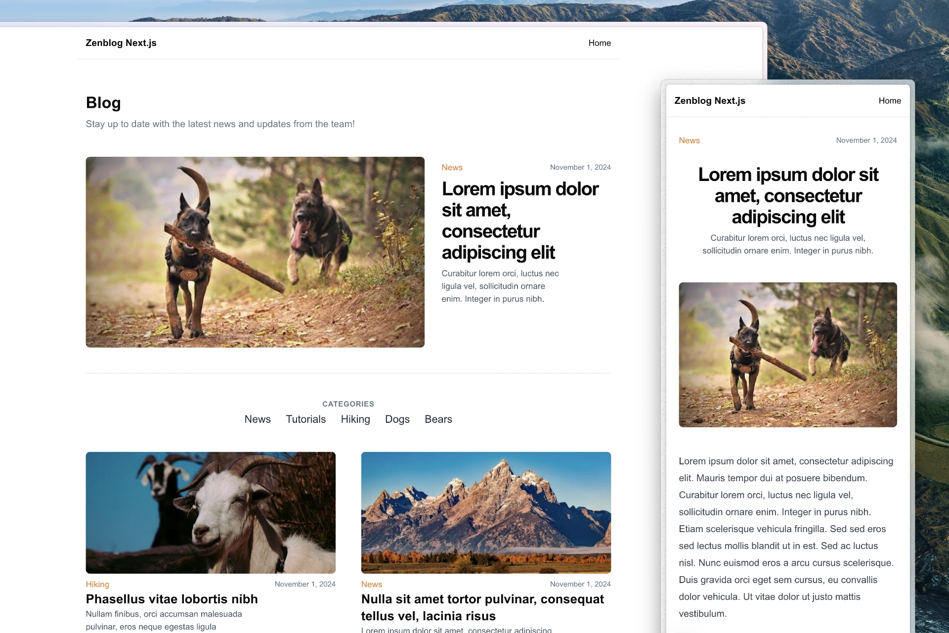 Official Zenblog CMS Next.JS template